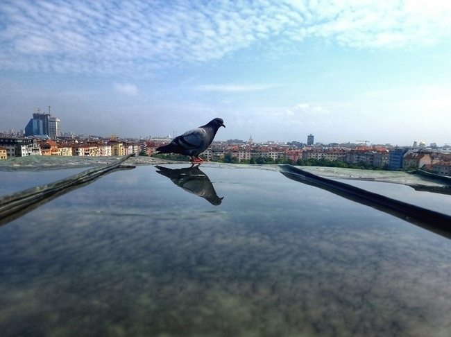 Ето какво ще бъде времето в последния ден от работната седмица