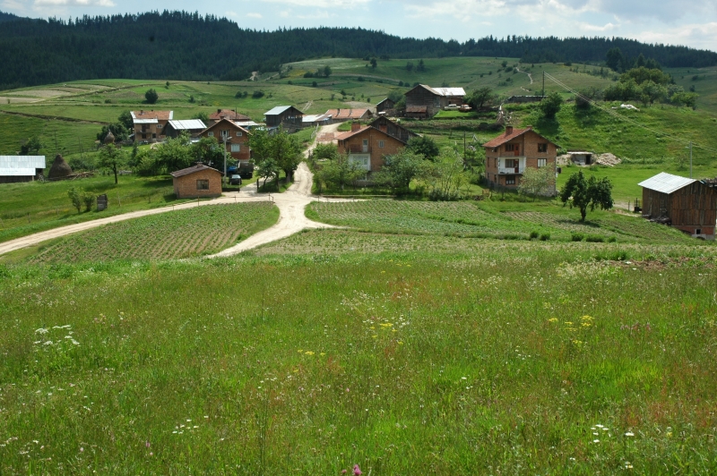 Над 2 млрд лв са изплатени по Програмата за развитие на селските райони