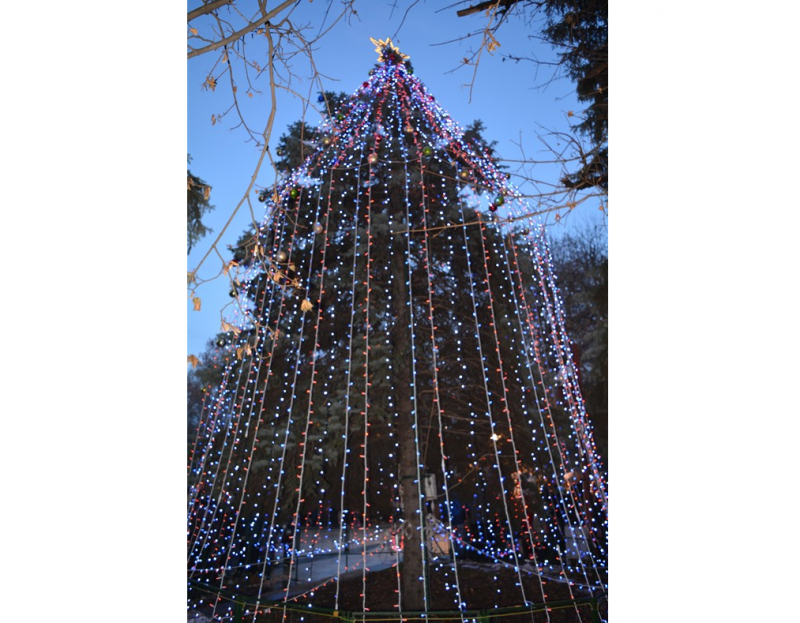 Община Монтана готви богата програма за Коледните празници