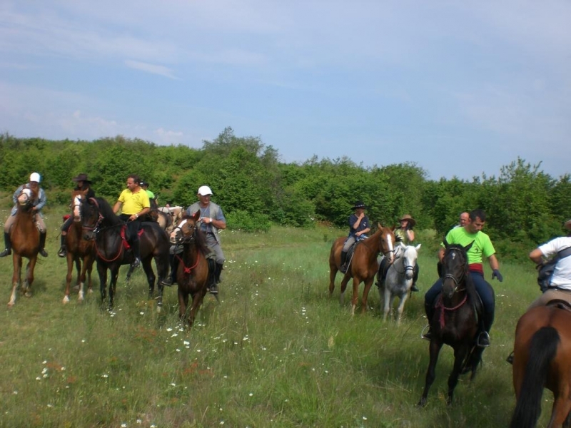 ГЕРБ Враца организира хипотерапия за деца с аутизъм