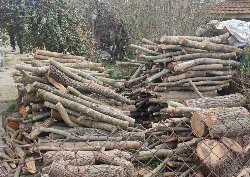 Ченгета намериха незаконни дърва в къща във Врачанско
