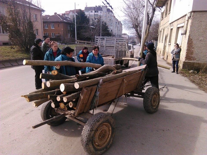 Ченгета пипнаха бракониери със 7 каруци нелегални дърва