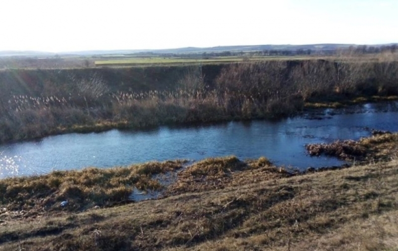 Две бракониерски мрежи иззеха край Видин