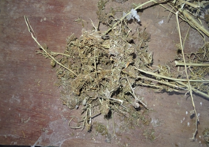 При спецакция Видински криминалисти иззеха канабис нелегален тютюн и артефакти снимки