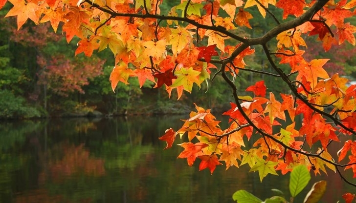 Ето какво време ни очаква до края на работната седмица