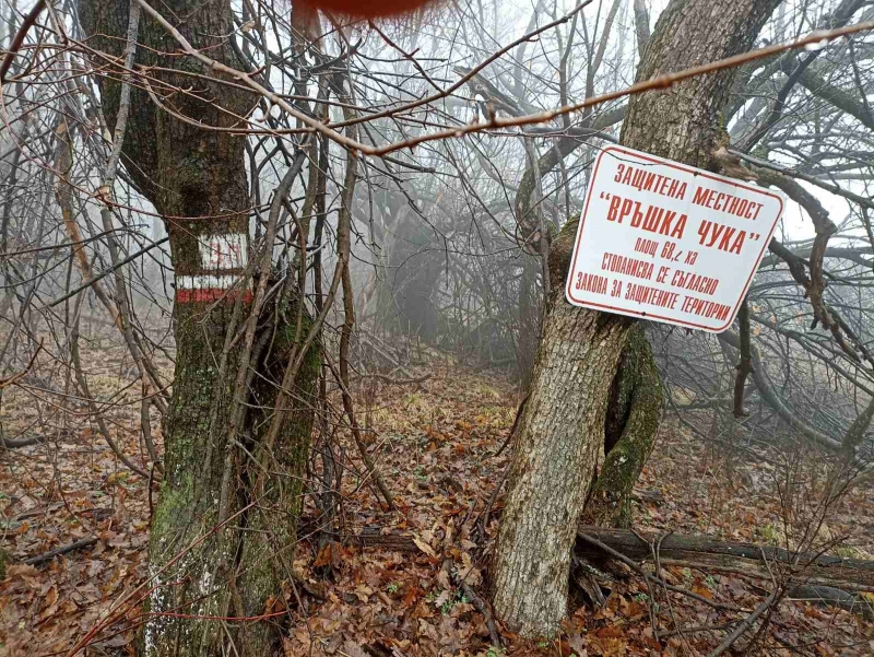 Експерти на РИОСВ провериха защитена местност „Връшка чука“, където ...