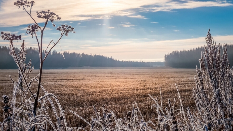 Вижте прогнозата за времето до края на работната седмица