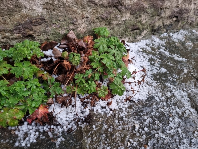 Синоптик Край на жегите идват дъждове и бури
