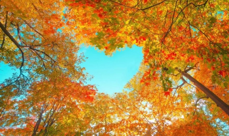 Ето какво време ни очаква до края на работната седмица