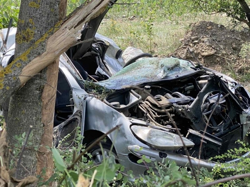 Трагедия на пътя Жена издъхна след жесток удар в дърво във Видинско