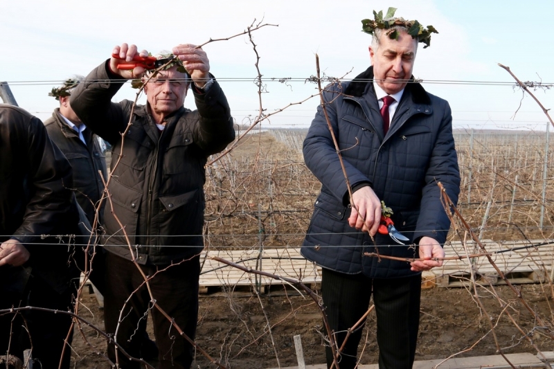 Кметът на Видин заряза лозите на пищен празник