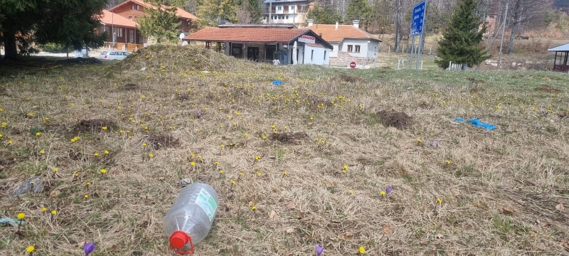 Проходът „Петрохан“ затъна в боклуци доброволци организират акция по