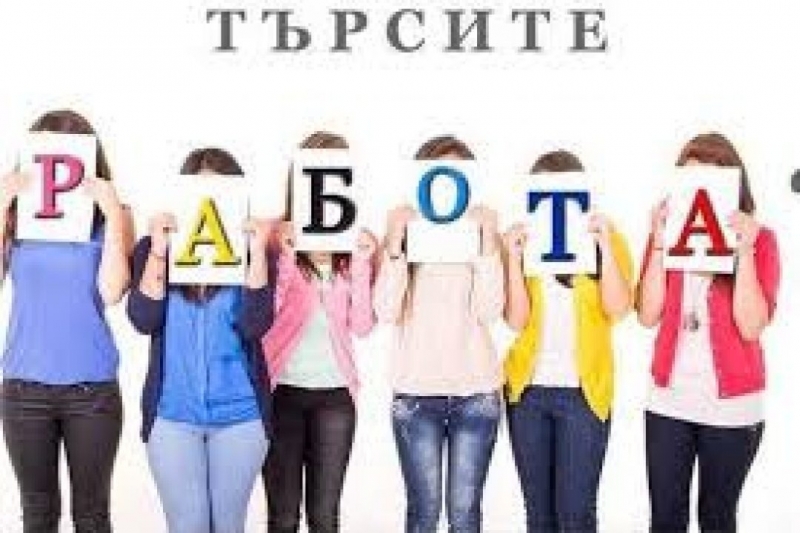 Търсите работа Вижте свободните позиции в област Видин