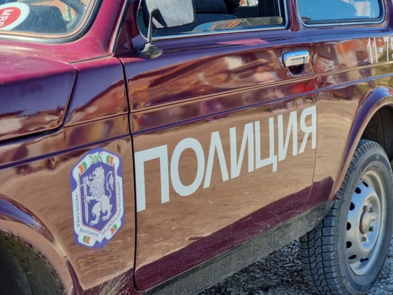Разбиха голям канал за трафик на нелегални мигранти в София