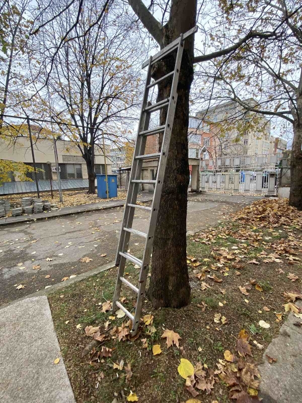 Монтански ченгета разкриха бърлогата на изпечен крадец, търсят ...