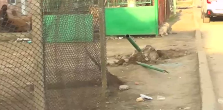 МВР излезе с официална информация за кървавия инцидент със загинал човек в Бяла Слатина