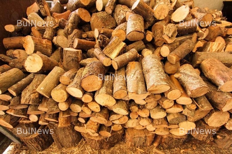 Жена складира незаконни дърва в дома си