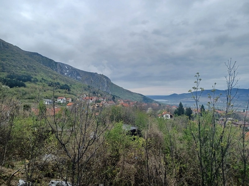 Младото острие на ГЕРБ Теодора Игнатова загуби срещу инж Георги Василев в Паволче