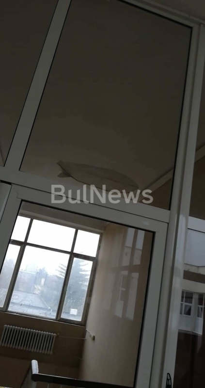 Внимание Езиковата гимназия във Враца се руши парчета мазилка падат от тавана снимки